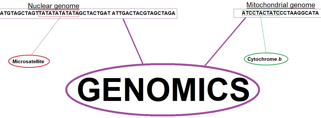Bigger and better: the evolution of genomic markers – The G-cat