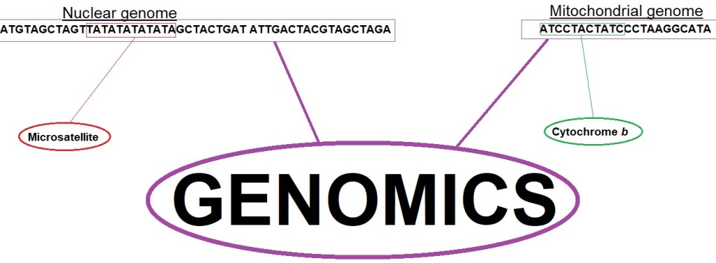 Bigger and better: the evolution of genomic markers – The G-cat