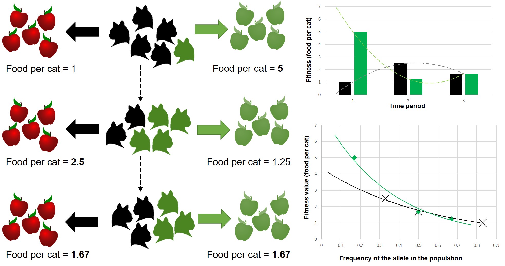 The direction of selection – The G-cat