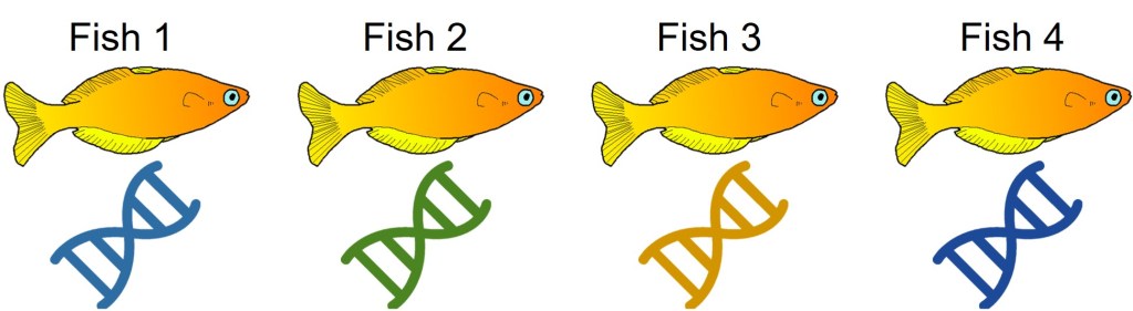An identity crisis: using genomics to determine species identities ...