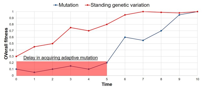 Origination of adaptation: the old and the new (genes) – The G-cat