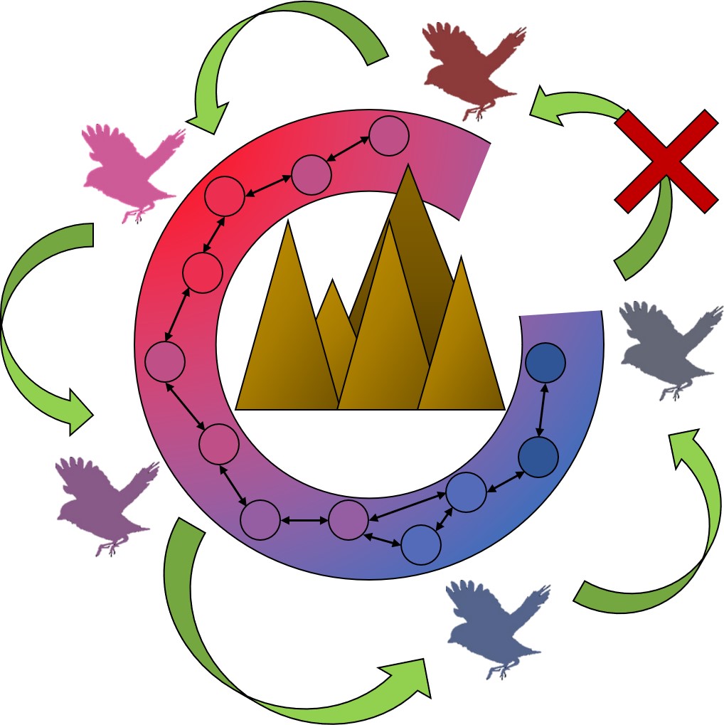 Islands of speciation and speciation on islands – The G-cat