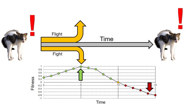 The Bad and the Ugly of evolution: an introduction to maladaptation ...