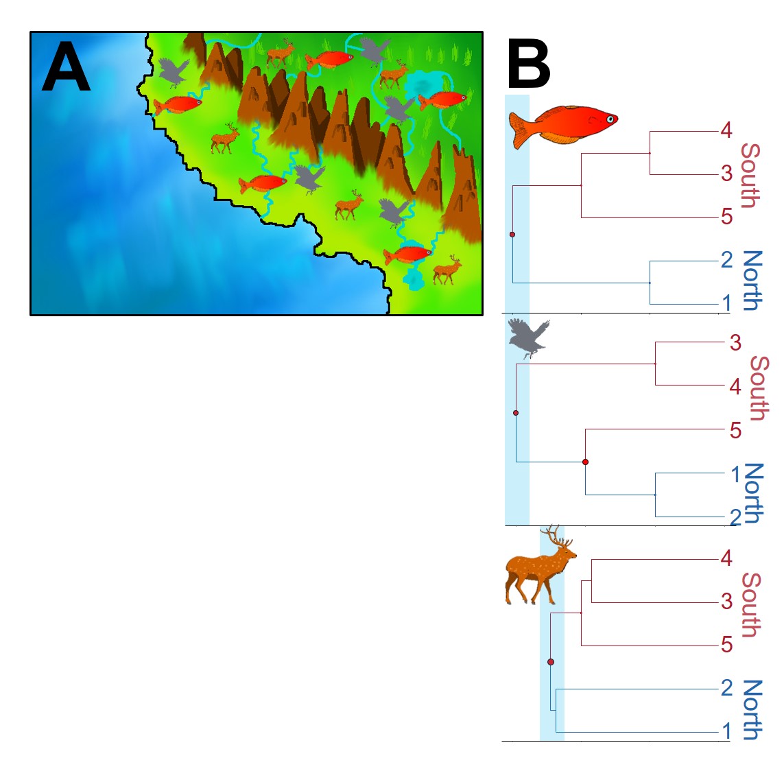 In accordance with evolution: discordance and concordance in ...