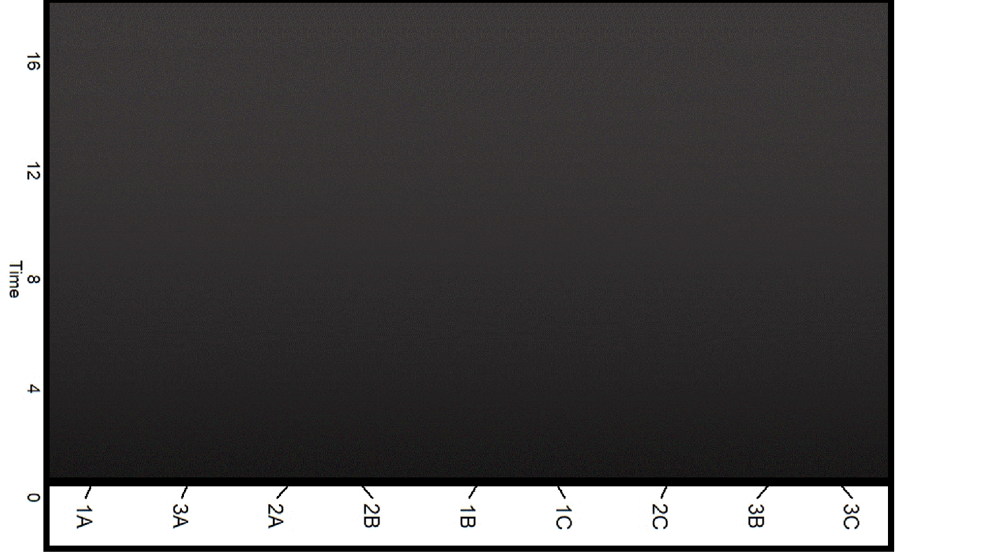 Incomplete lineage sorting through Pachinko – a visual analogy – The G-cat