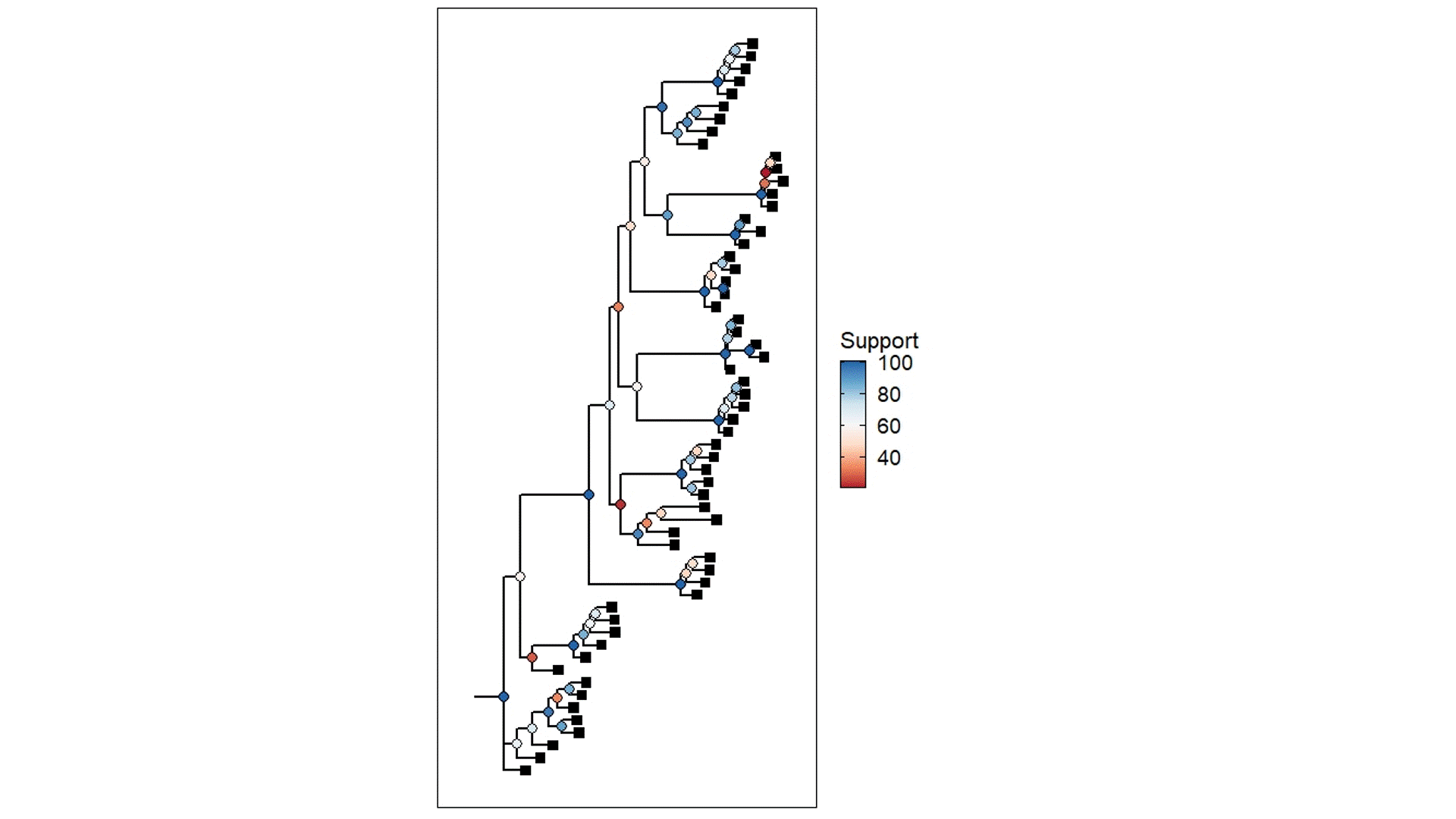 Incomplete lineage sorting through Pachinko – a visual analogy – The G-cat