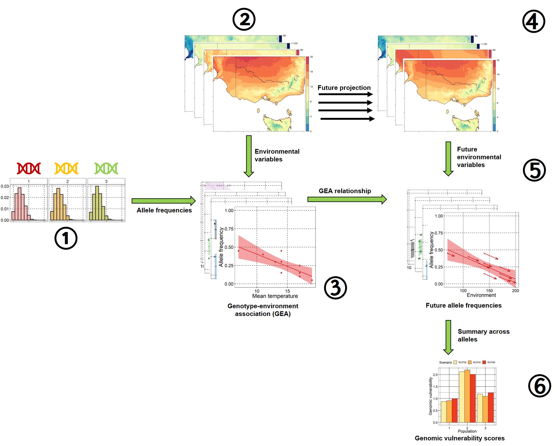 A simplified guide to genomic vulnerability – The G-cat