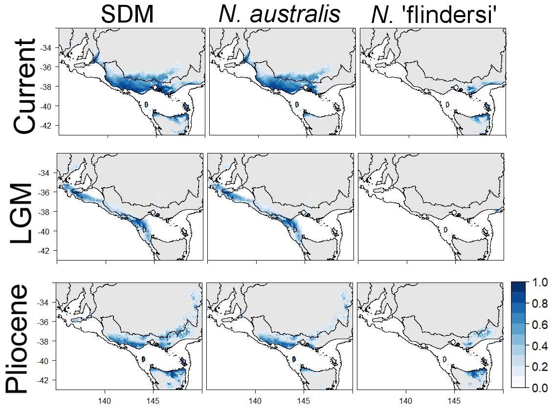 Shifting lakes, coastlines and mountains: how millions of years of ...