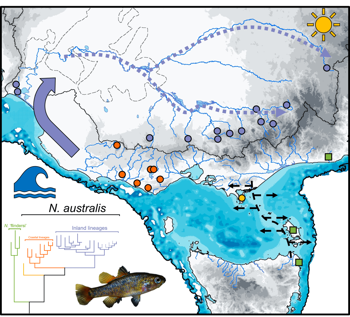 Shifting lakes, coastlines and mountains: how millions of years of ...