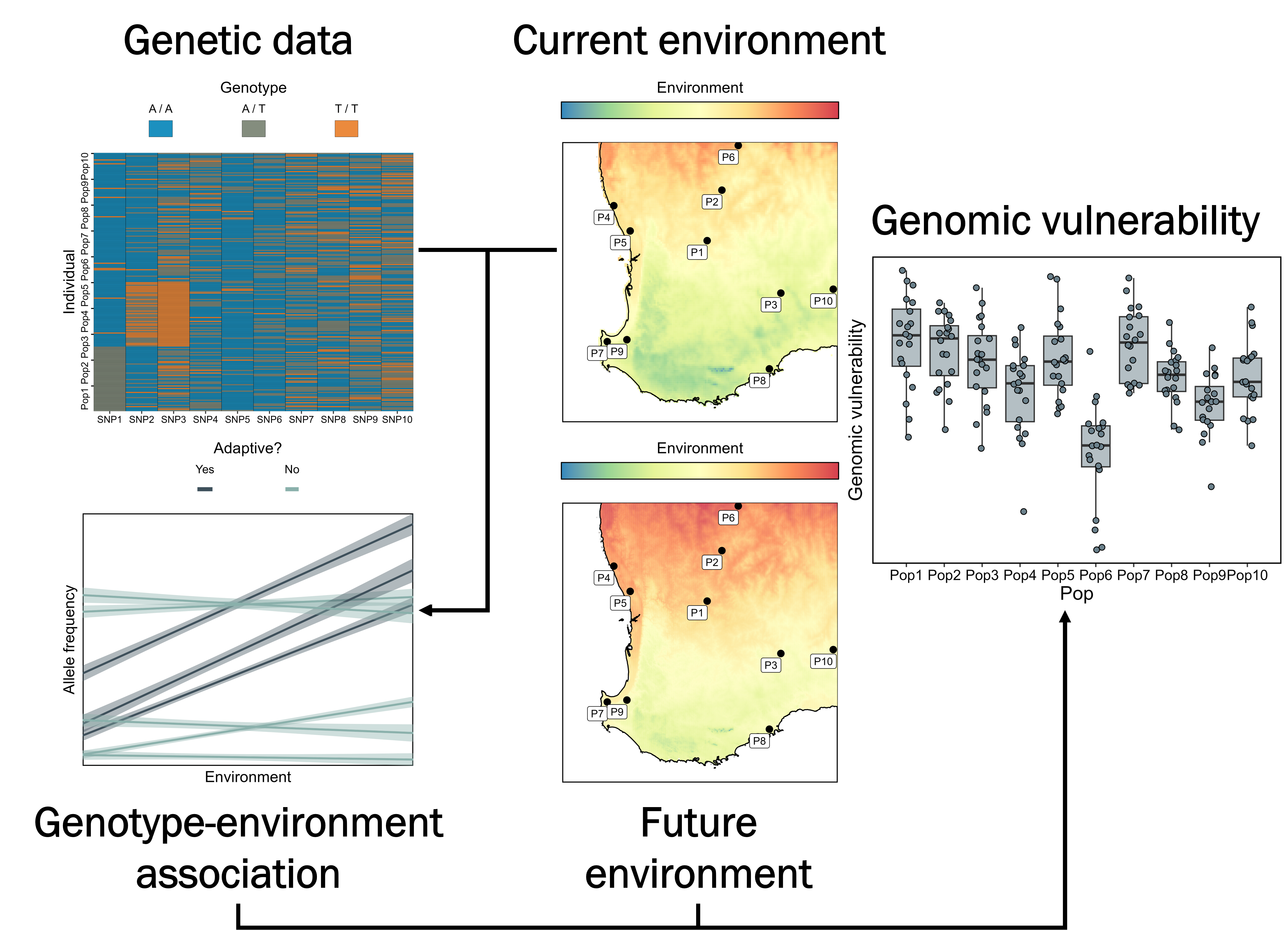 Validating vulnerability: ground-truthing projections from genomic ...